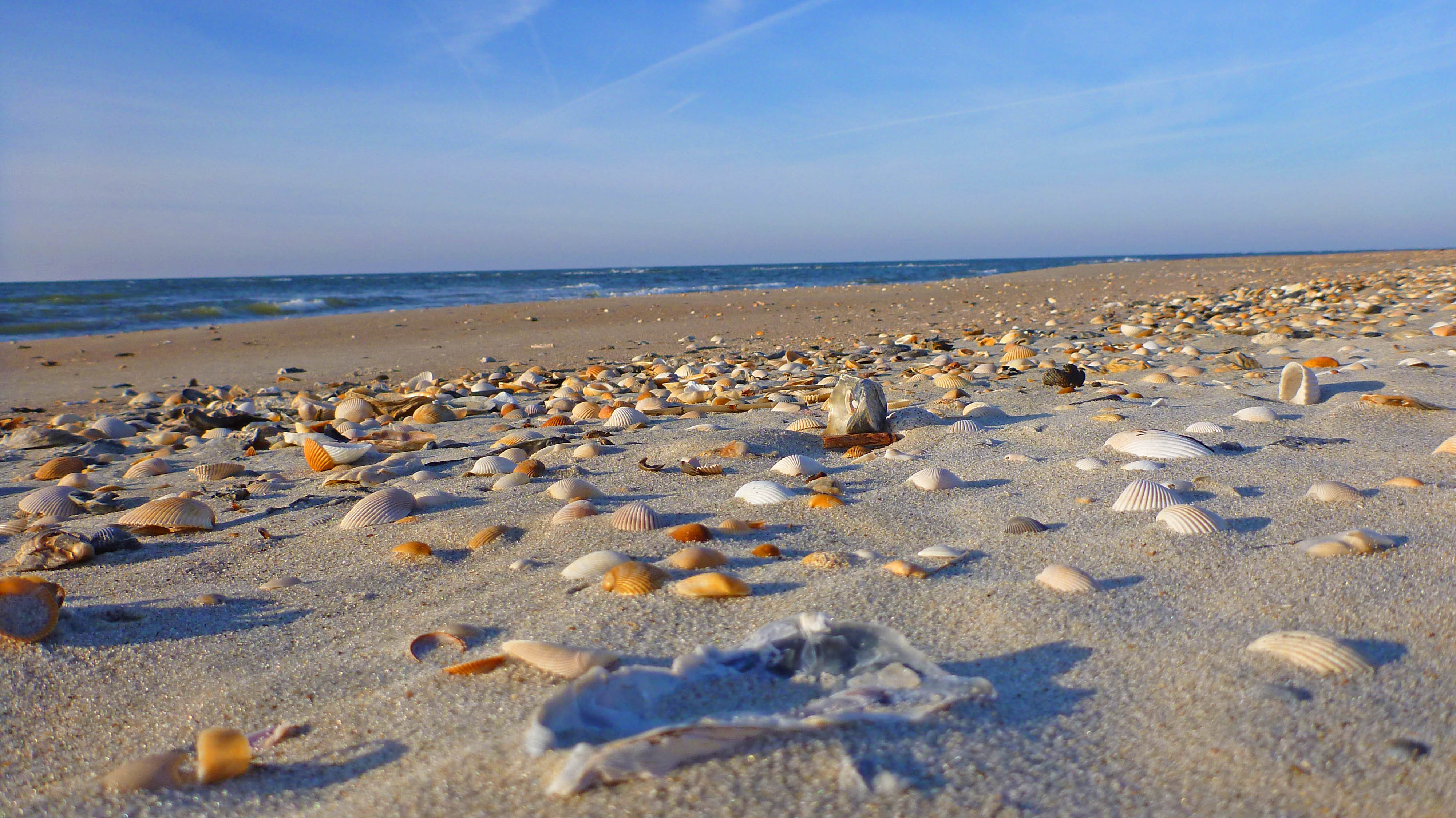 Off-Season on Bogue Banks