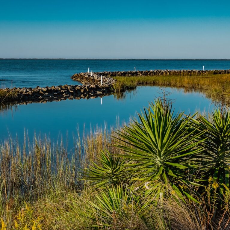 Harkers Island, North Carolina | Explore Things to Do on Harkers Island