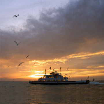 Explore Cedar Island - Events & Things to Do in Cedar Island, NC