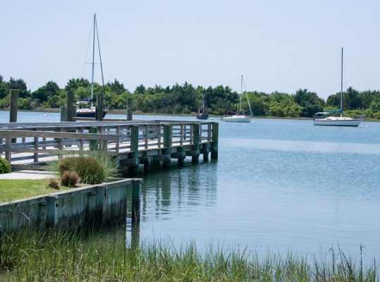 Explore the Rachel Carson Reserve - Nature Trails, Boardwalk & More